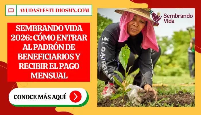 Sembrando Vida 2026: Cómo entrar al padrón de beneficiarios y recibir ...